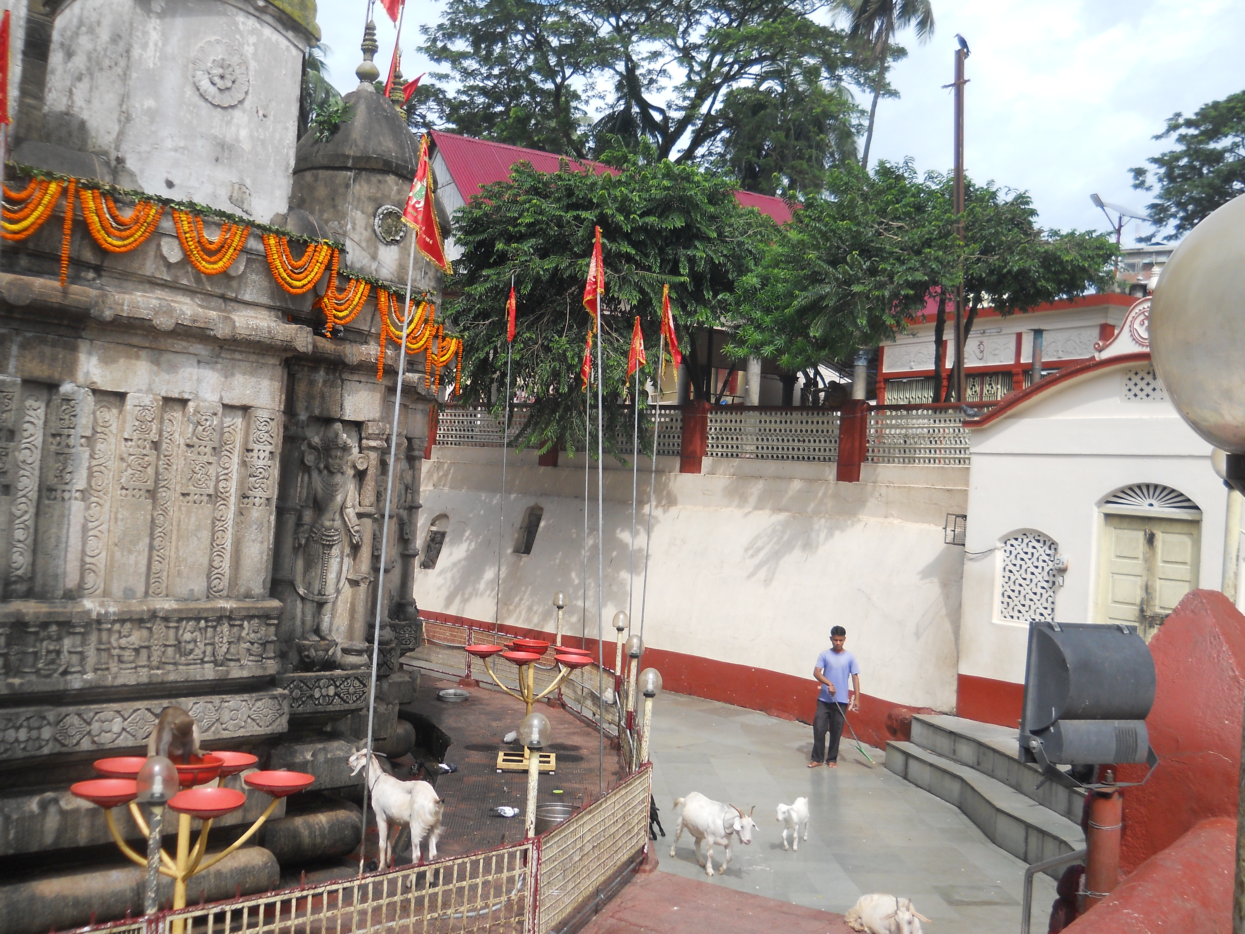 Kamakhya temple - Abhijna e-Museum